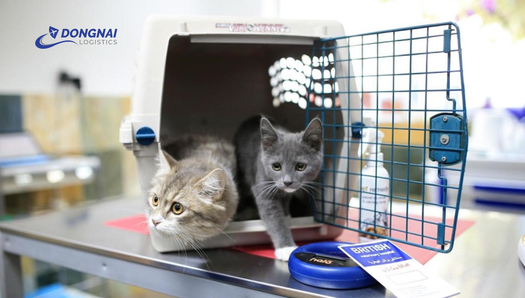 Domestic Pet Transportation Service at Dong Nai Logistics - DONG NAI ...