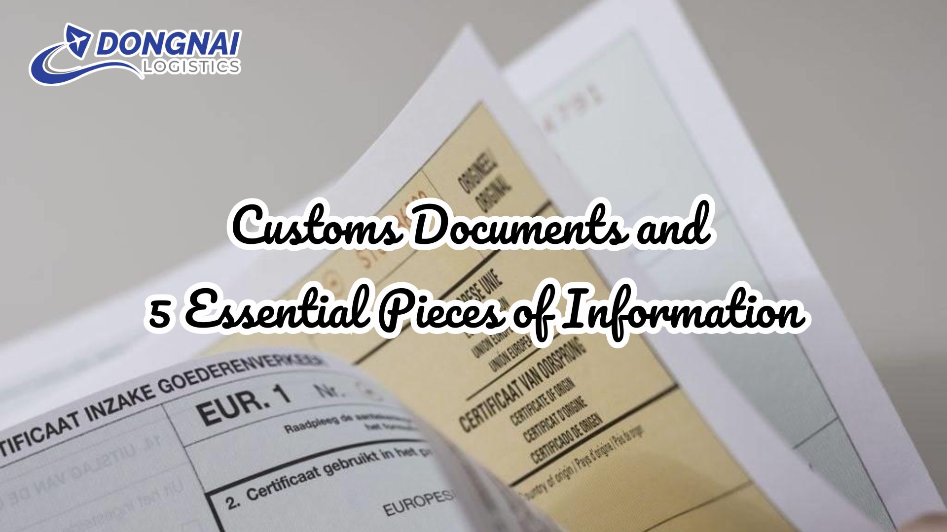Customs Documents and 5 Essential Pieces of Information