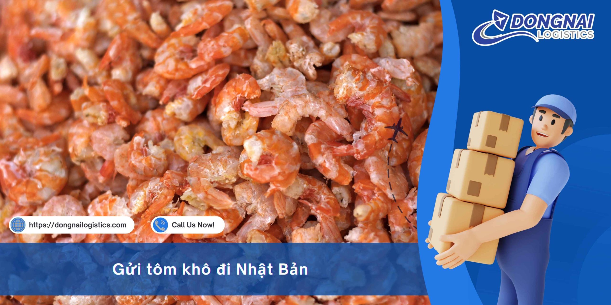 Gửi Tôm Khô Đi Nhật Bản – Quy Định, Kiểm Dịch