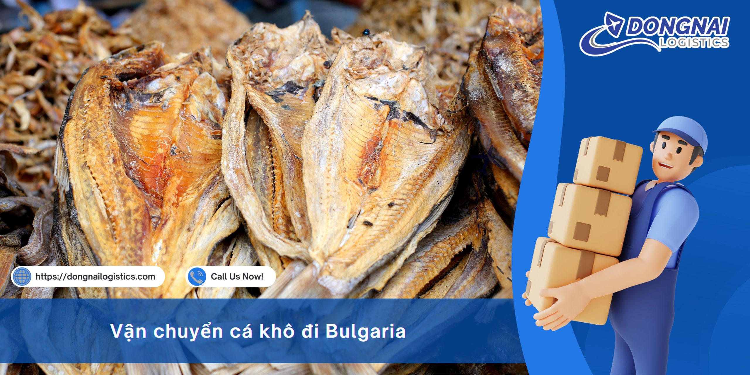 Vận chuyển cá khô đi Bulgaria - DONG NAI LOGISTICS